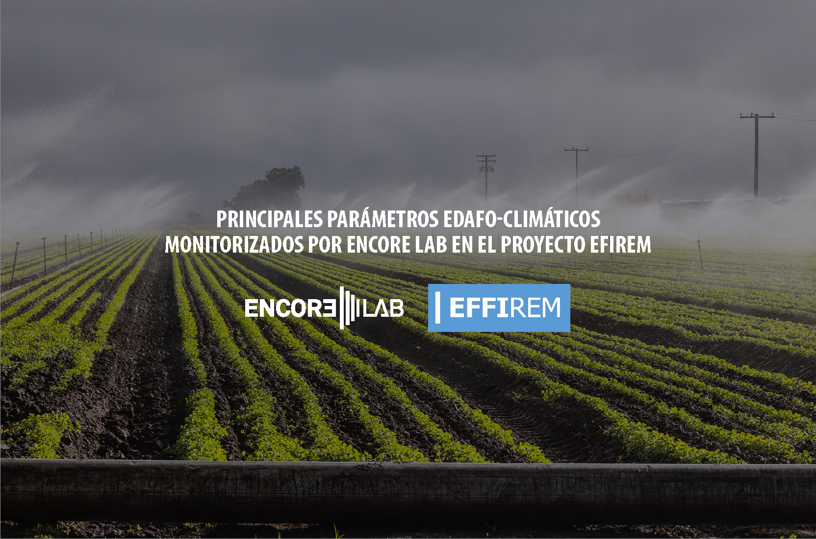 INFORME EFFIREM ENCORE-LAB